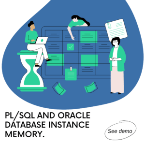 PL/SQL and Oracle database instance memory.